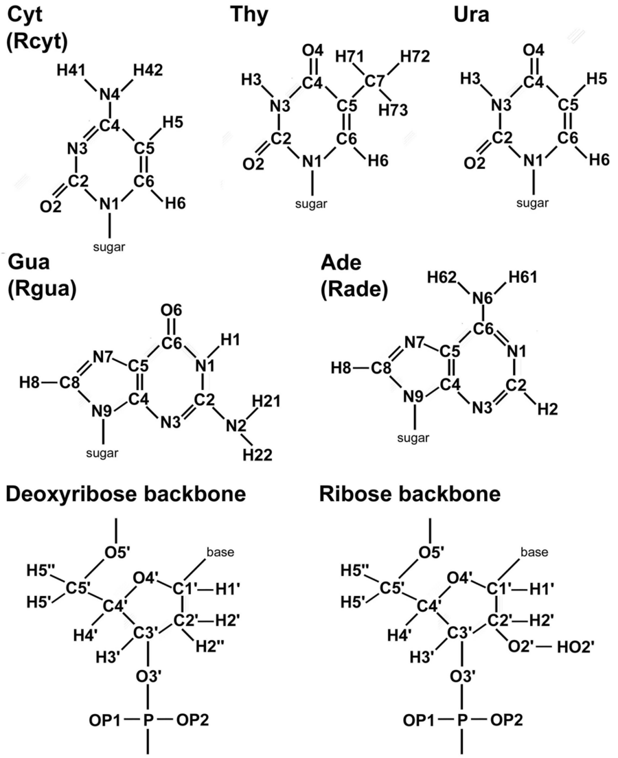 Standard CYANA nomenclature - CYANA Wiki